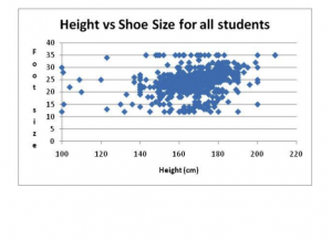 Are Height And Foot Size Related? - Census At School